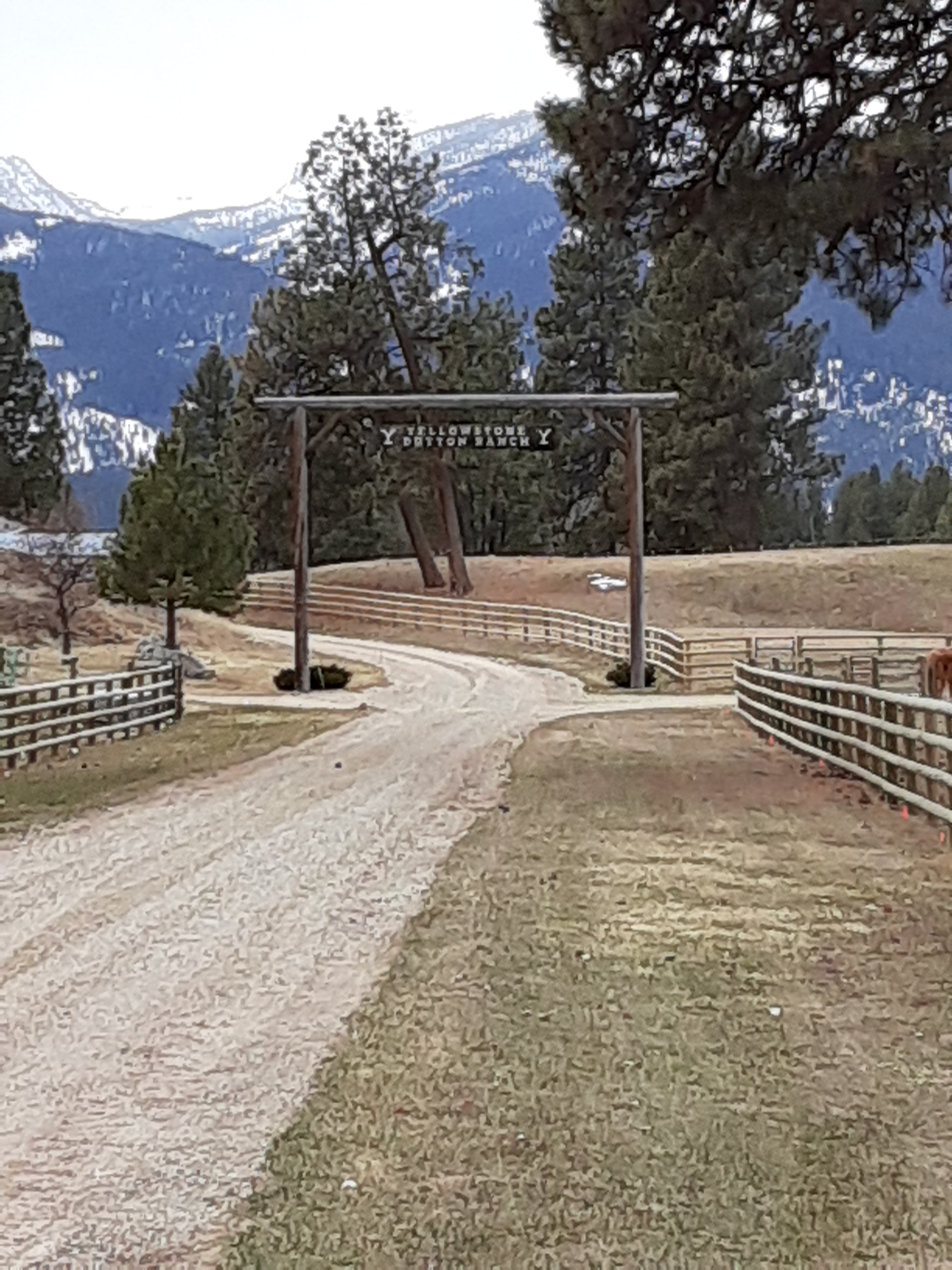 A Visit to the Yellowstone Ranch – Wheat & Tares